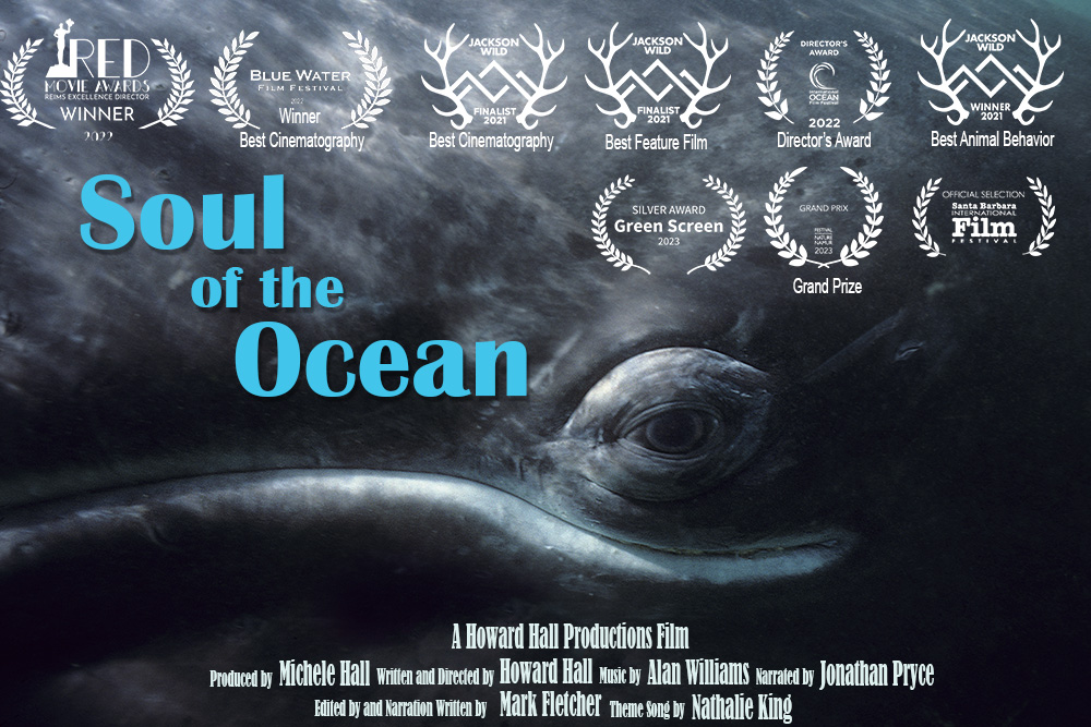 Howard Hall Productions | Natural History Film Production and Stock ...