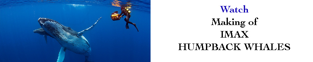 Links to Some of Our films